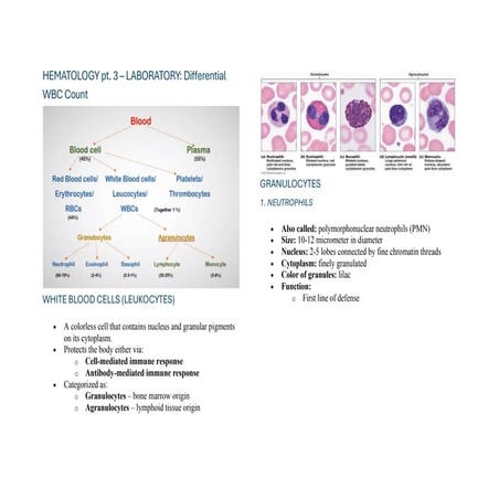 General Physiology Laboratory Notes part 3 | PPT