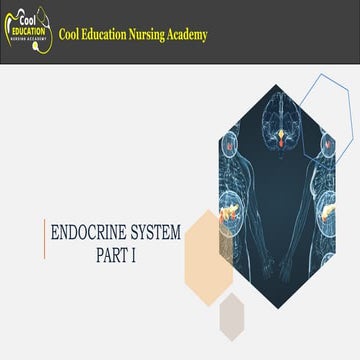 Physio Lecture 3 Part A Pptx Endocrine System Pptx