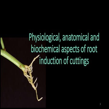 Physiological, anatomical and biochemical aspects of root | PPTX