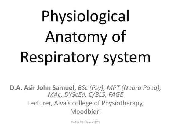 The respiratory system | PPT