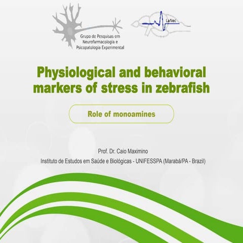 Physiological and behavioral markers of stress in zebrafish | PPTX