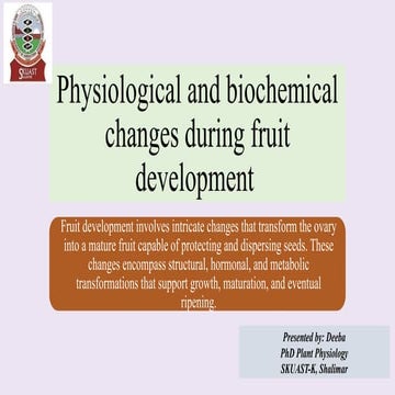 Physiology and biochemistry of ripening fruit | PPTX