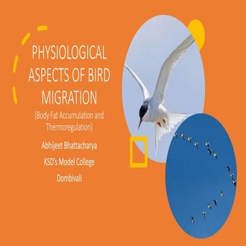 Physiological aspects of bird migration. | PDF