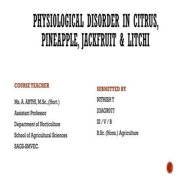 Prepare for the 2025 Jubilee in Rome.pdf