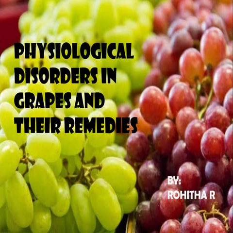 physiological disorders in grapes.pptx
