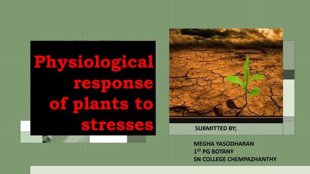 Plant stress definition and classification | PPTX