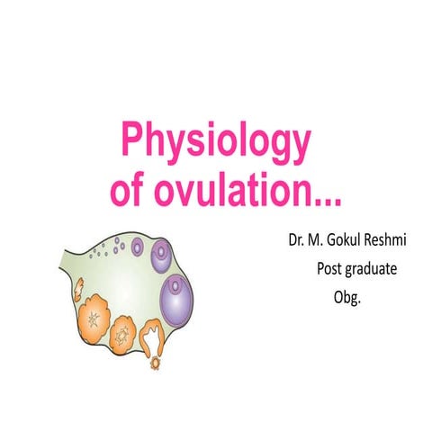 Physiology Of Ovulation