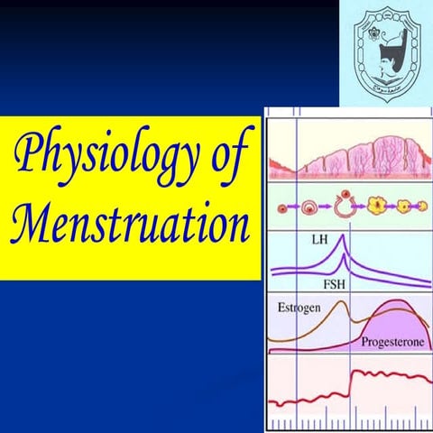 Physiology-of-Menstruation_3.pdf- lecture | PDF