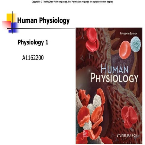 Physiology 1- Cardiovascular system - Chapter 13- Part I ...