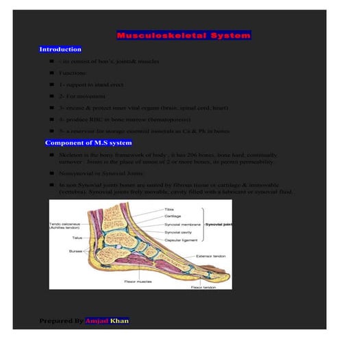Musculoskeletal System | PDF