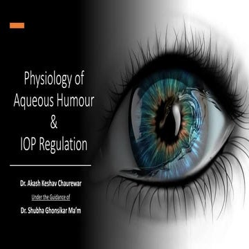 Production and flow of aqueous humor | PPTX