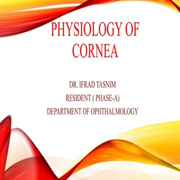 Physiology of cornea | PPTX