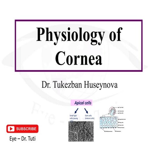 Physiology of Cornea | PPT