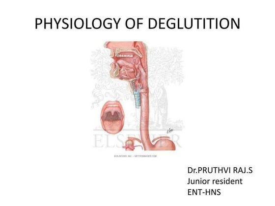 DEGLUTTITION (SWALLOWING) | PPT