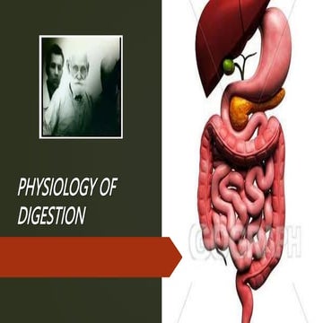 PHYSIOLOGY OF DIGESTION.digistive system | PPT