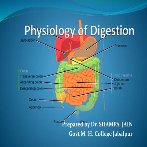 Physiology of digestion sj | PPTX