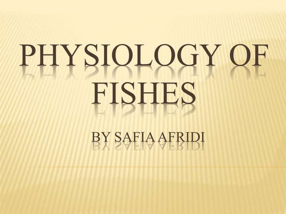 Fish anatomy | PDF