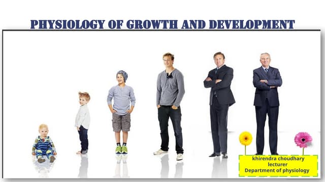 Physiology of growth and development | PPT | Endocrine and Metabolic ...