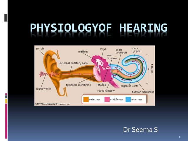 Anatomy and physiology of ear | PPT