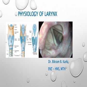 Physiology of larynx AND assessment of laryngeal function | PPTX