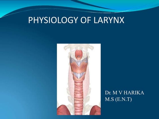 Larynx_Physiology of larynx ent presentat | PPT
