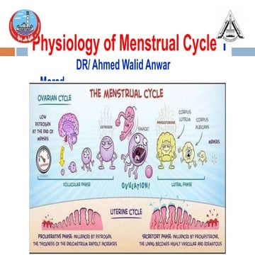 Physiology of Menstrual Cycle dr Ahmed Walid Anwar Morad | PPTX