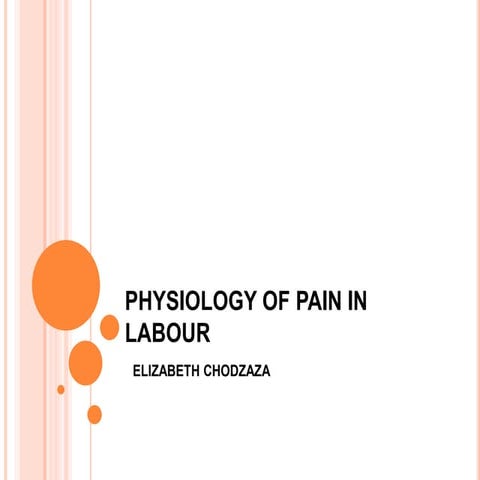 physiology of pain.ppt