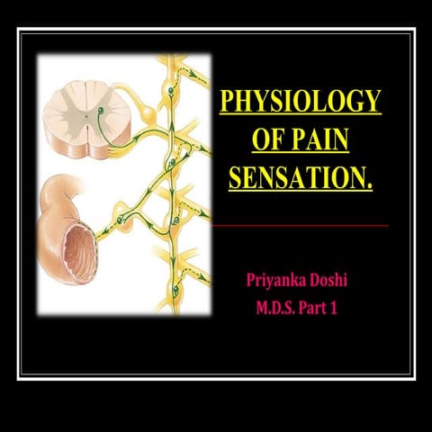 Physiology of pain pathway | PPT