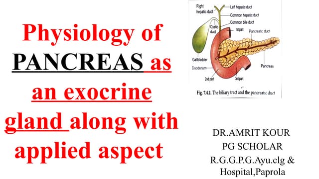 Histology & Function of The Pancreas | PPT