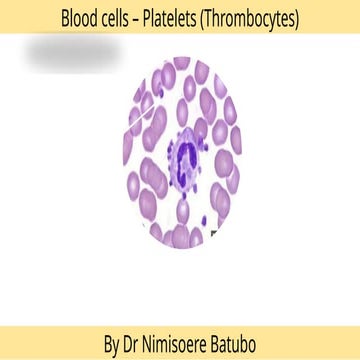 Physiology of Platelets and Hemostasis .pptx