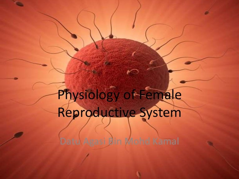 Physiology of reproduction system