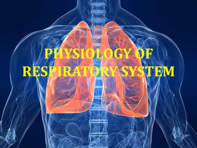 Respiration & Gas Exchange | Cambridge IGCSE Biology | PDF