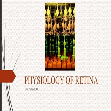 Physiology of retina | PPTX