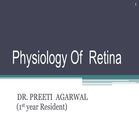 physiology of retina , retina physiology | PPTX