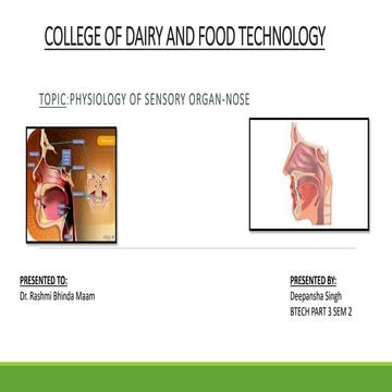 Sense Organ - Nose - Anatomy of Nose & Physiology of Olfaction | PPT