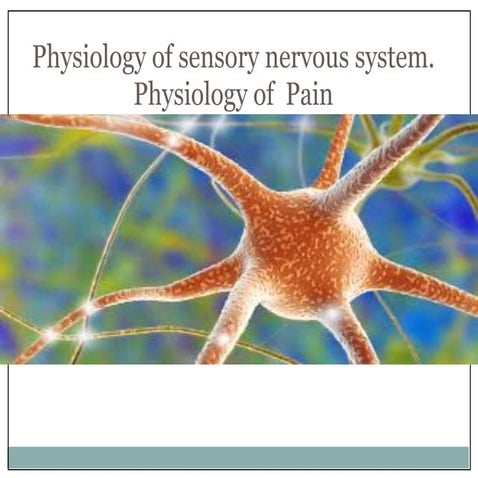 Ch 15 sensory pathways | PPT