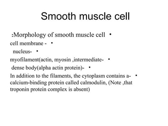 physiology of smooth muscle.ppt