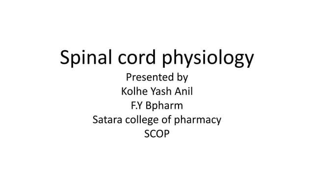 Spinal code presentation based on easy content | PPTX