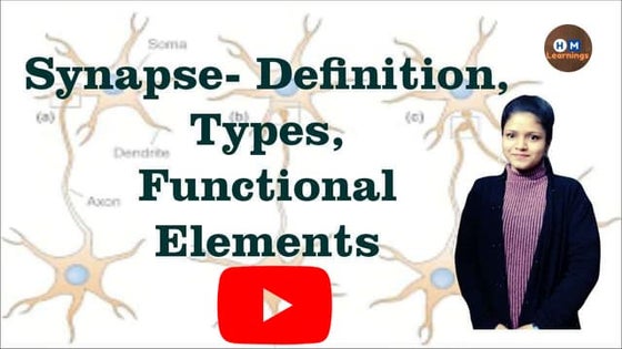 RBC Indices- MCV, MCH, MCHC II Blood Physiology | PDF