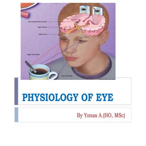Anatomy of eye ppt | PPTX