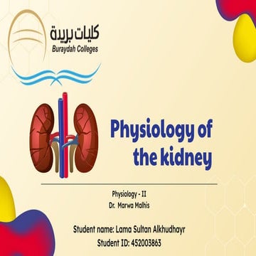 physiology of the kidney3 LS powerpoint3 | PDF