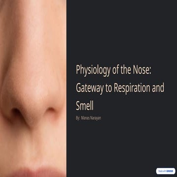 Sense Organ - Nose - Anatomy of Nose & Physiology of Olfaction | PPT