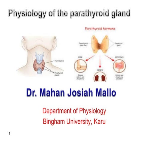 Physiology of the PARATHYROID Gland for Medical Students.pdf