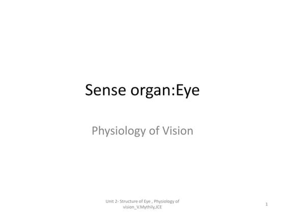 diagram of eye | PDF