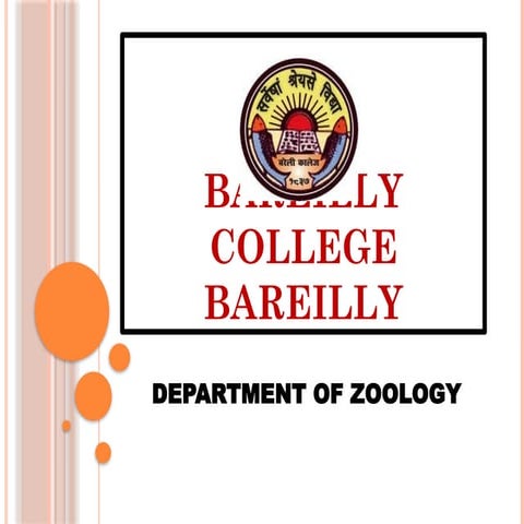 physiology of vision by Manupriya Bharti M.Sc. I year.pptx