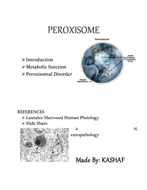 Peroxisomes | PPT