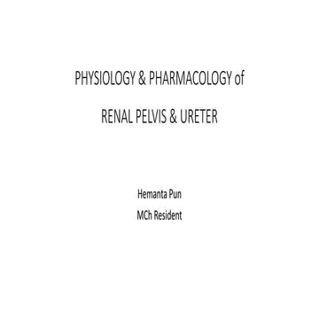Physiology & Pharmacology of Renal pelvis and Ureter.pptx