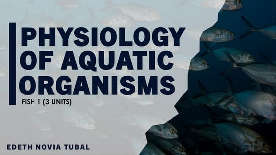 Nervous system of fish; a detailed study | PPT