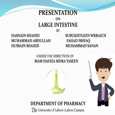 Anatomy of -The Large Intestine with all it's relations.ppt