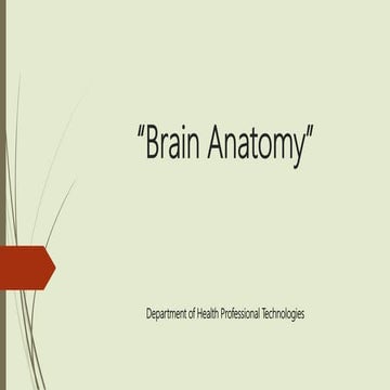 Parts of brain | PPTX | Brain and Nervous System Disorders | Diseases ...